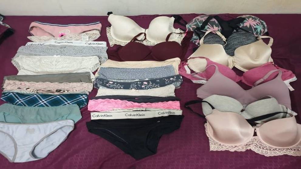 Commentary Why Would Anyone Steal Underwear And Flout Circuit